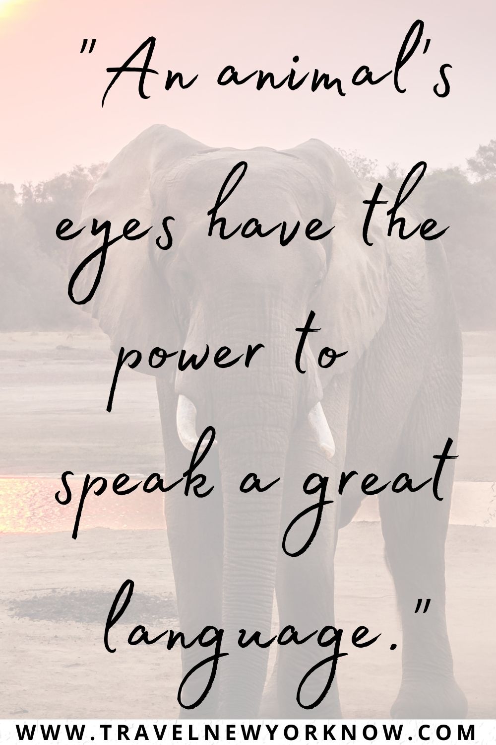 290+ Amazing Captions for Nature Photography - Travel New York Now