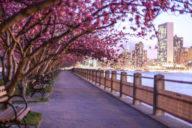 New York in April: Amazing Local's Guide for 2023