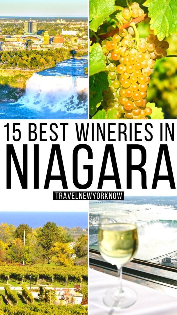 15 Best Wineries Niagara has to Offer in 2024 + Local Tips