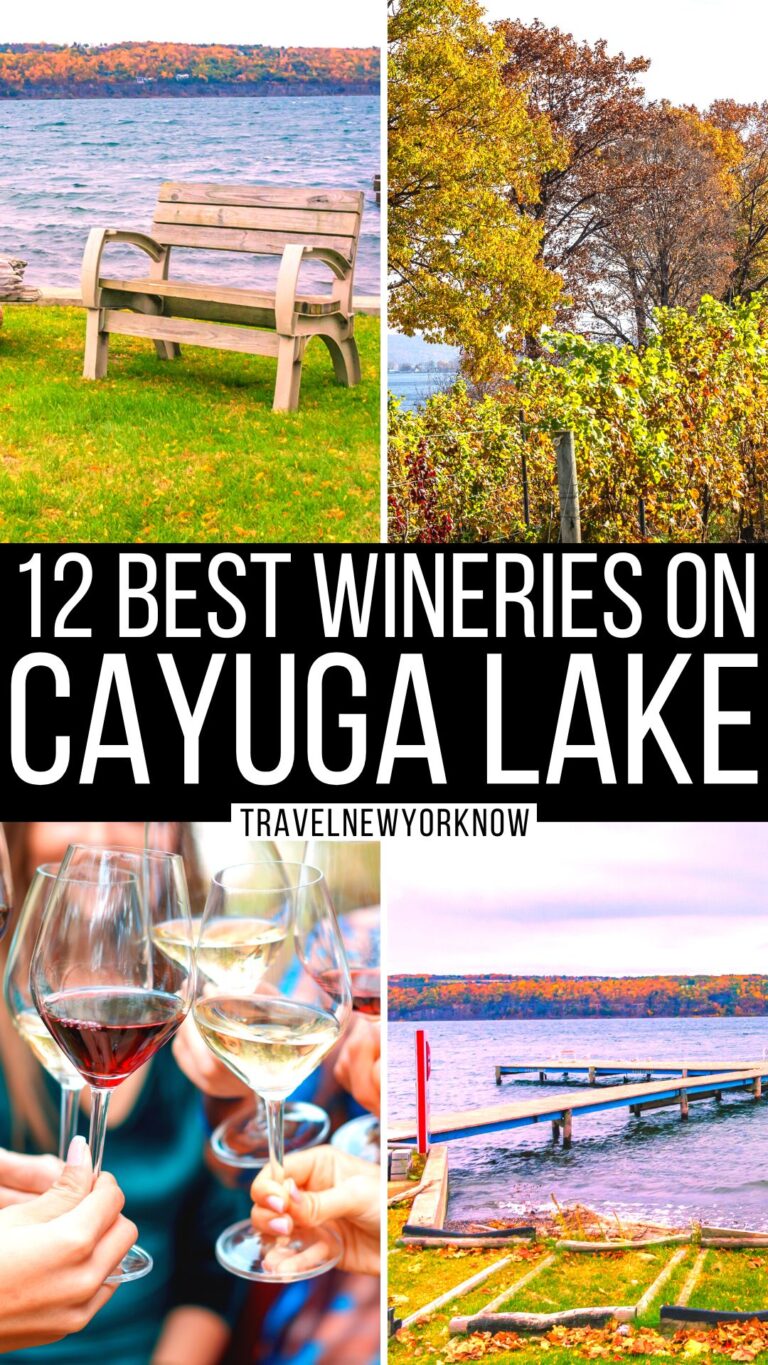 12 Best Cayuga Lake Wineries 2023 + Amazing Local Tips